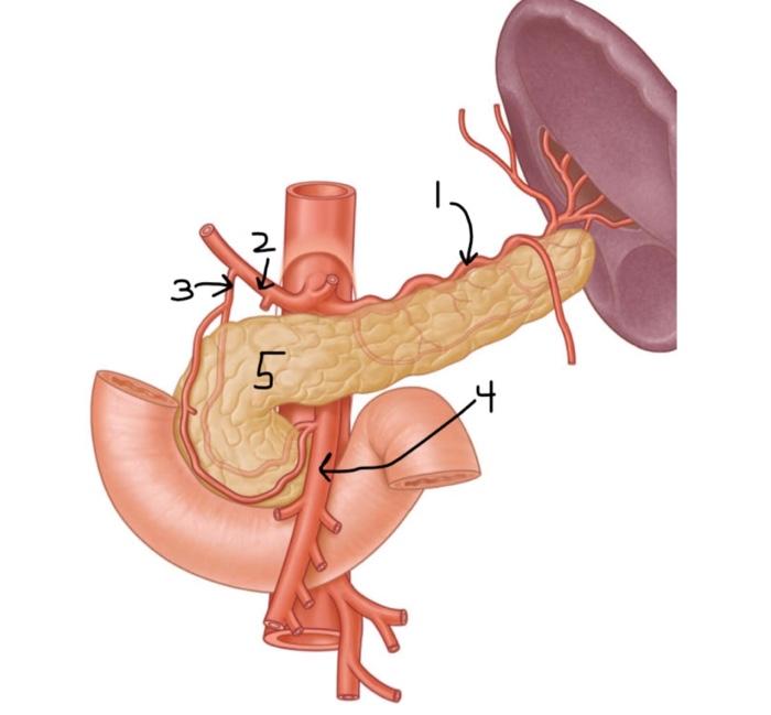 Solved part a part b plz label both parts will upvote | Chegg.com