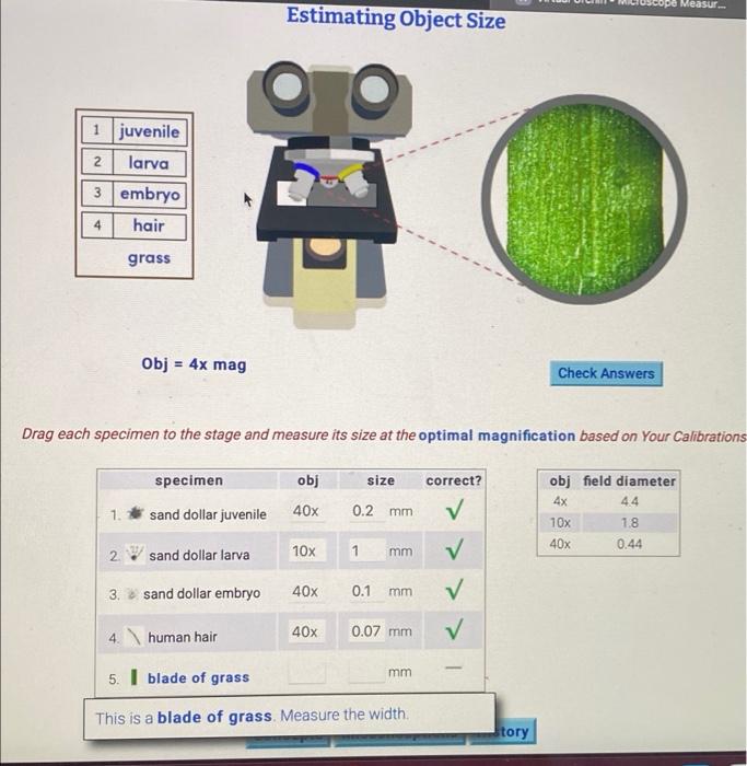 Solved 1 juvenile 2 larva 3 embryo 4 hair grass Estimating | Chegg.com