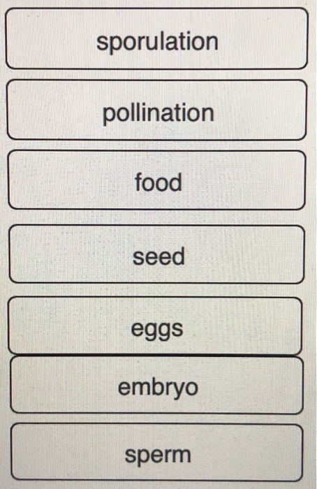 Solved Seed plants Complete the following paragraph to | Chegg.com