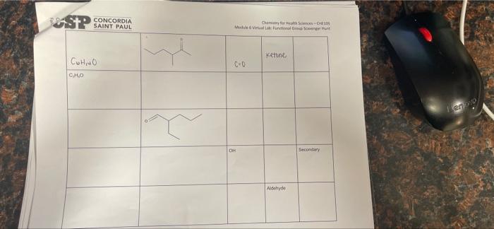 & SP CONCORDIA SAINT PAUL Deco kvinna Kettne Cohino | Chegg.com