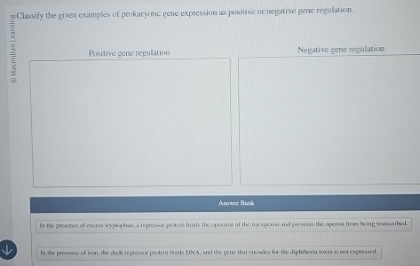 Solved welassify the given examples of prokaryotic gene | Chegg.com