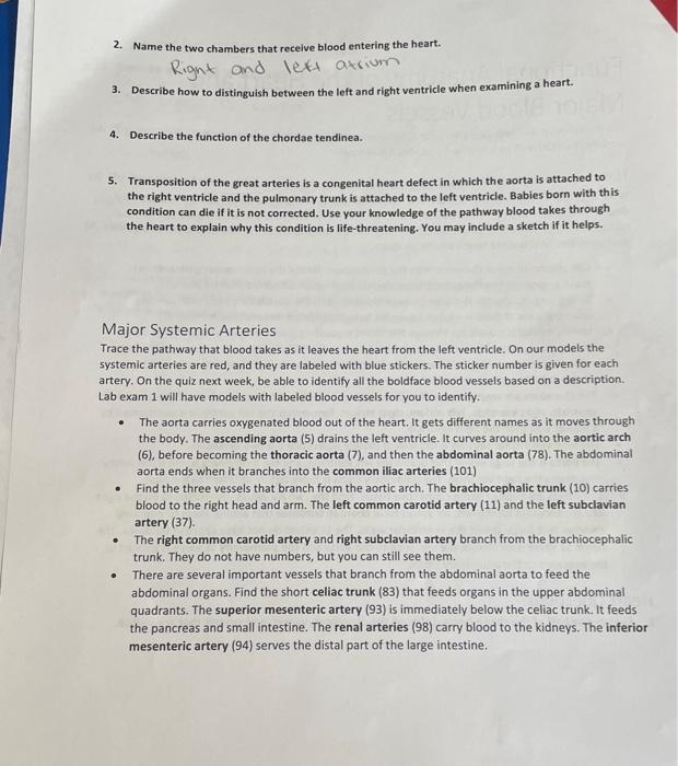 Solved 2. Name the two chambers that receive blood entering | Chegg.com