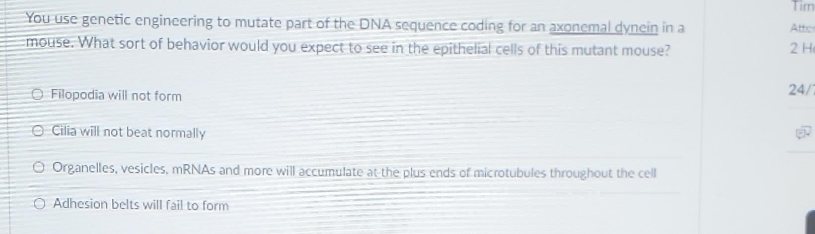 Solved You use genetic engineering to mutate part of the DNA | Chegg.com