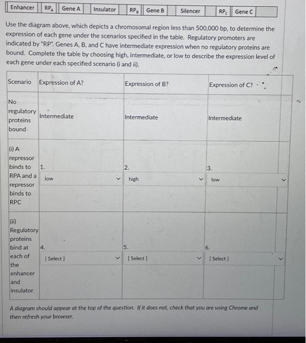 Solved Use the diagram above, which depicts a chromosomal | Chegg.com