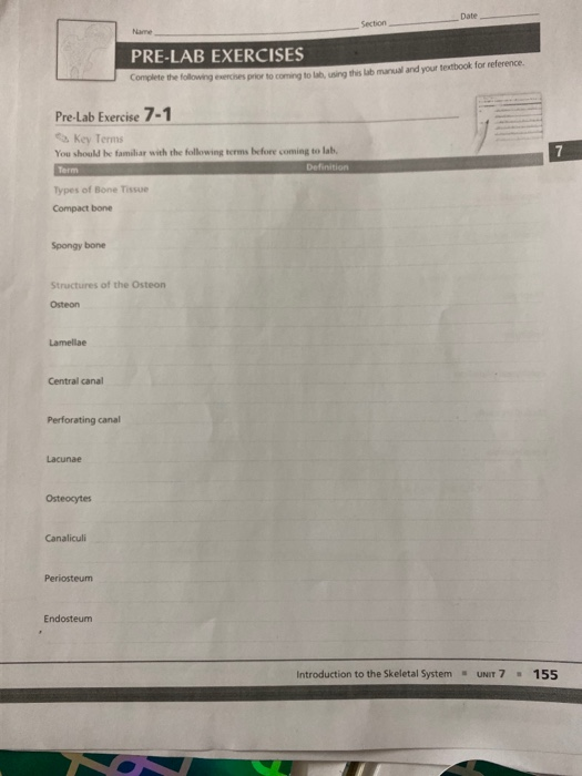 Solved Date Section Name PRE-LAB EXERCISES Complete the | Chegg.com