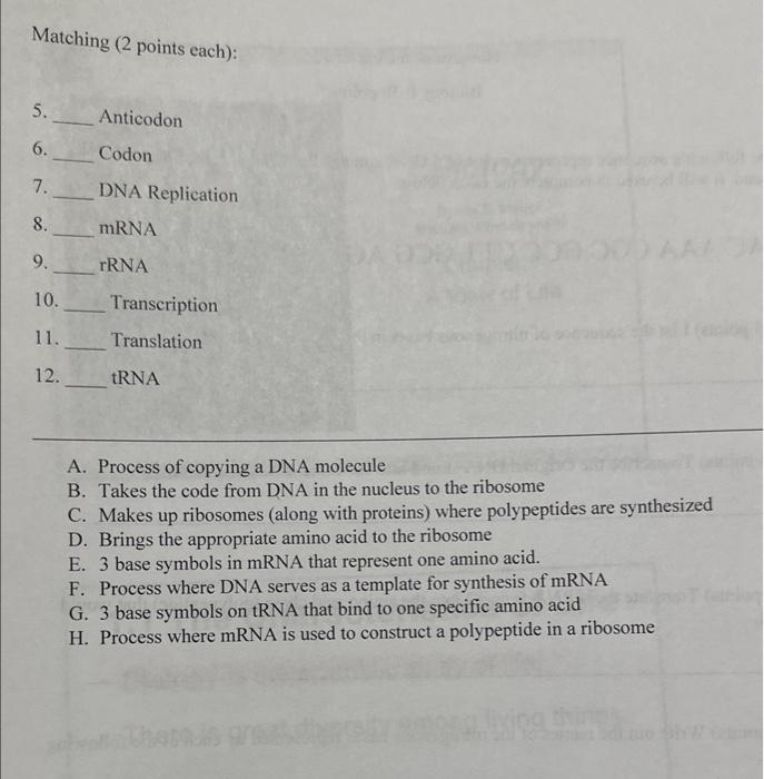 Solved Matching ( 2 points each): 5. Anticodon 6. Codon 7. | Chegg.com