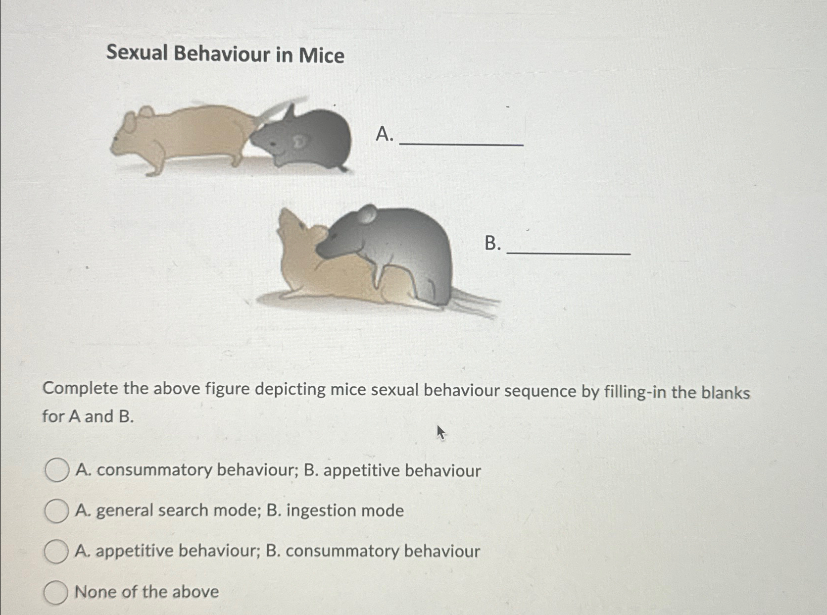 Solved Sexual Behaviour In Micea Complete The Above Figure