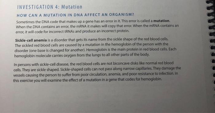 INVESTIGATION 4: Mutation HOW CAN A MUTATION IN DNA | Chegg.com