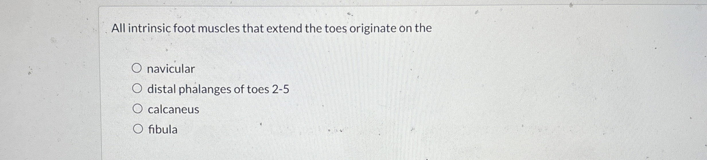 Solved All intrinsic foot muscles that extend the toes | Chegg.com