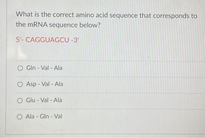 Solved What is the correct amino acid sequence that | Chegg.com