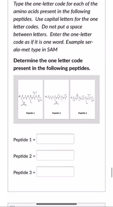 Solved Type the one-letter code for each of the amino acids | Chegg.com