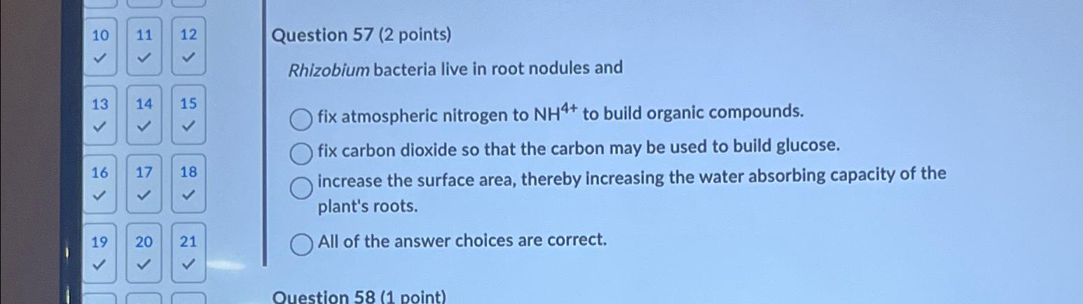 Solved Question 57 (2 ﻿points)Rhizobium bacteria live in | Chegg.com