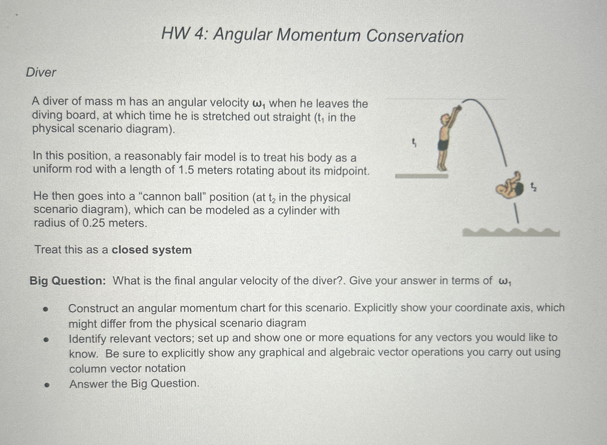 Solved HW 4: Angular Momentum ConservationDiverA diver of | Chegg.com