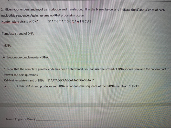 Solved Given your understanding of transcription and | Chegg.com