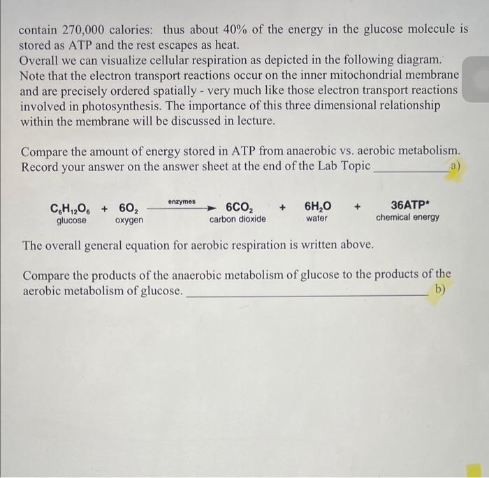 Solved Cellular Respiration Peter Lanzetta, Ph.D. Laboratory | Chegg.com