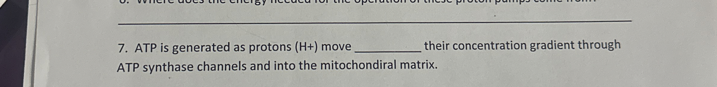 Solved ATP is generated as protons (H+) ﻿moveEWhat | Chegg.com