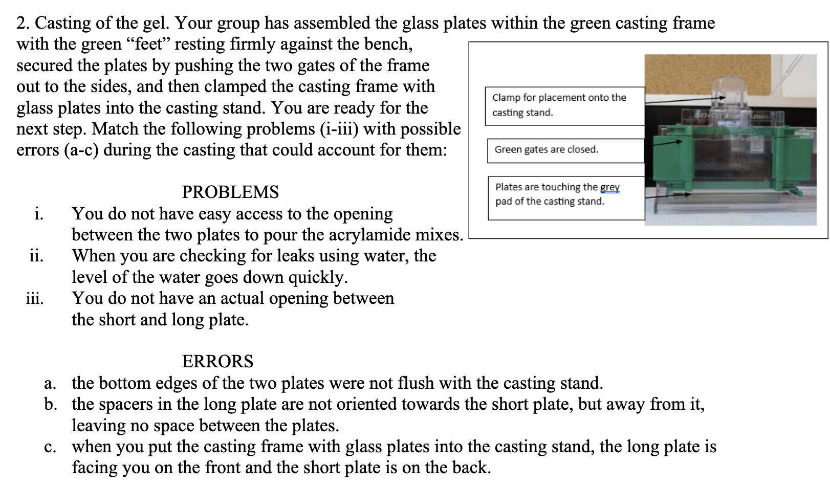 Solved Casting of the gel. Your group has assembled the | Chegg.com