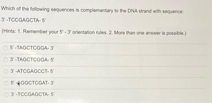 Solved You discover a new organism and analyze its DNA. If | Chegg.com