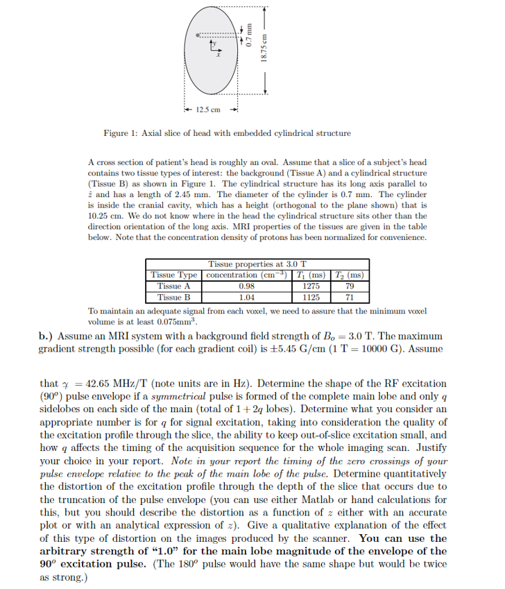 Solved Figure 1: Axial slice of head with embedded | Chegg.com