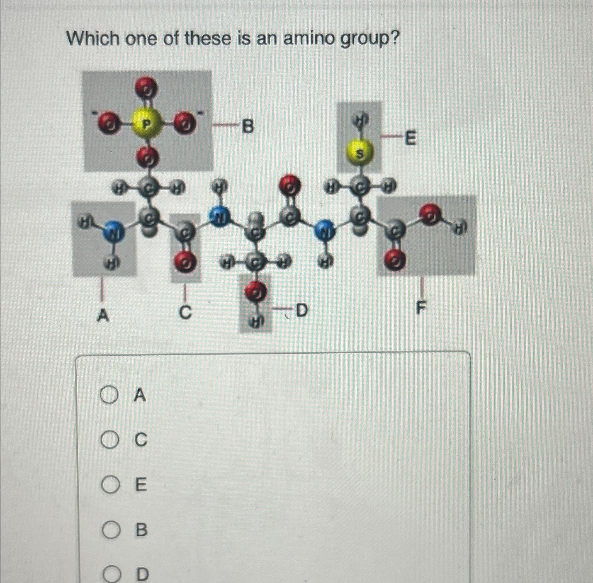 Solved Which one of these is an amino group?ACEBD | Chegg.com