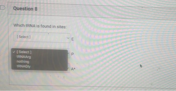 Solved Consider the translation of a polypeptide encoded by | Chegg.com