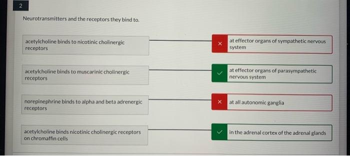 Solved Neurotransmitters and the receptors they bind to.2 | Chegg.com