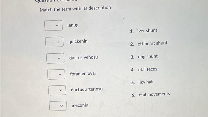 Solved Match the term with its description lanug 1. iver | Chegg.com