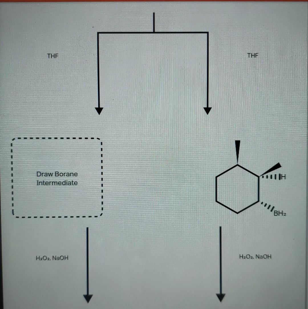 Solved Draw the structures of the missing reactants, | Chegg.com