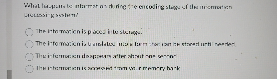 Solved What happens to information during the encoding stage | Chegg.com
