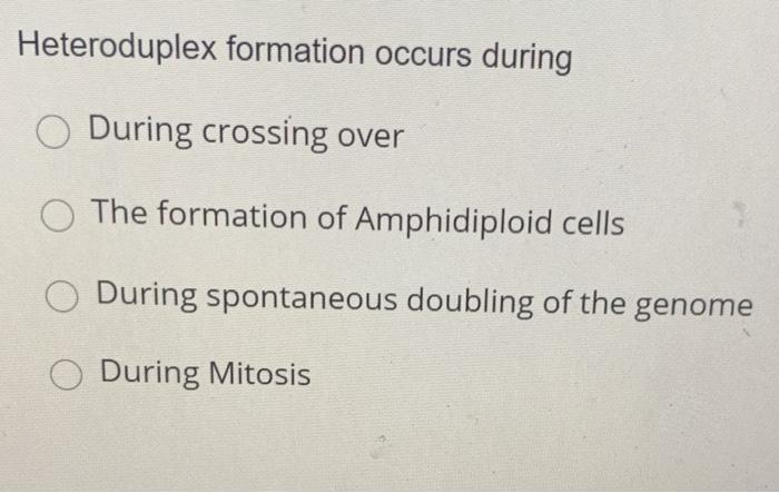 Solved Heteroduplex formation occurs during During crossing | Chegg.com