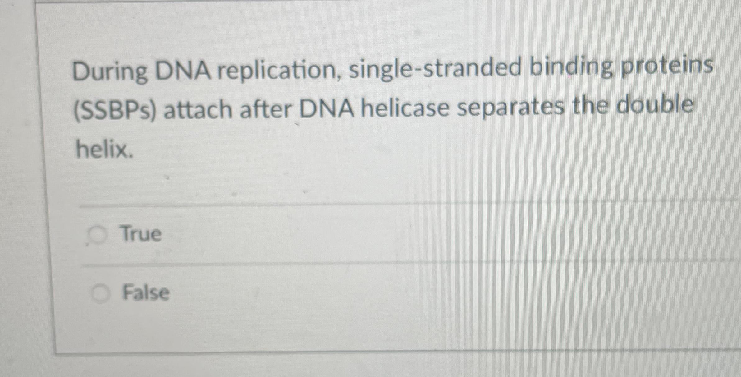 Solved During Dna Replication Single Stranded Binding