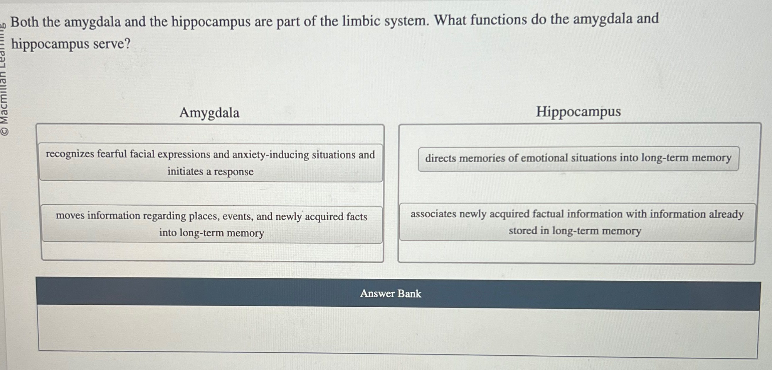 Solved Both the amygdala and the hippocampus are part of the | Chegg.com