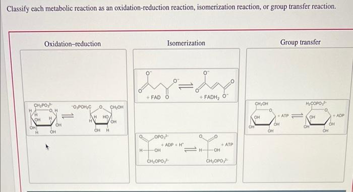 Solved Classify each metabolic reaction as an | Chegg.com