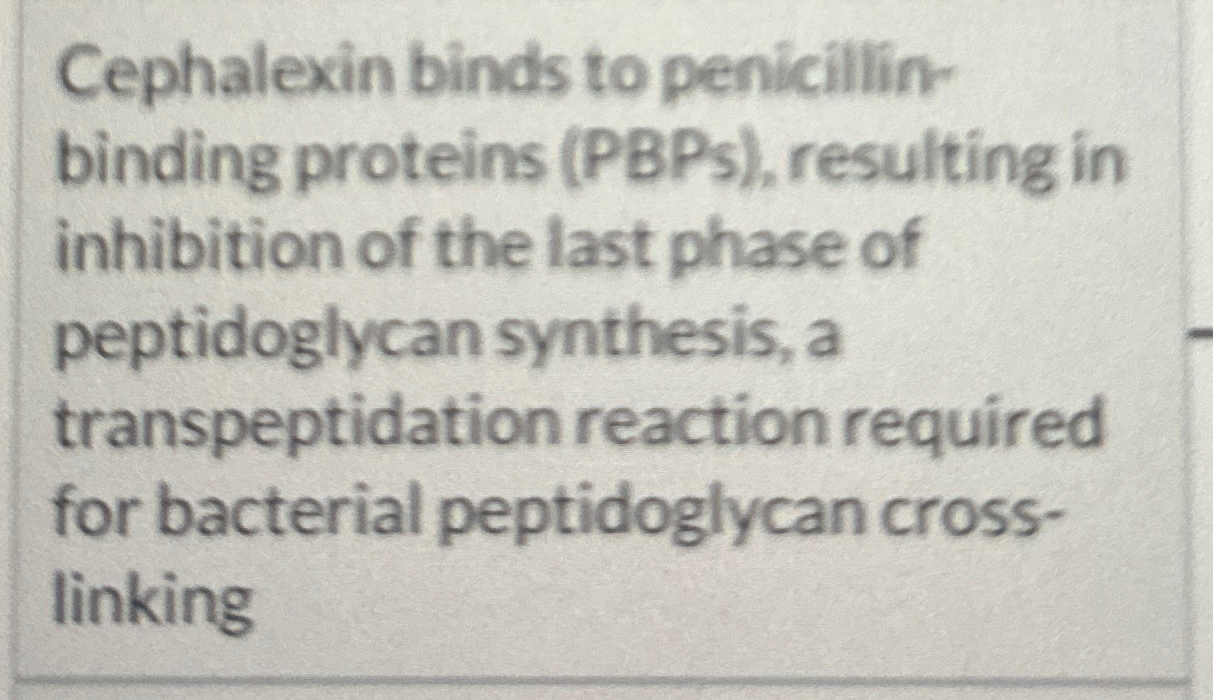 Solved Cephalexin binds to penicillinbinding proteins | Chegg.com
