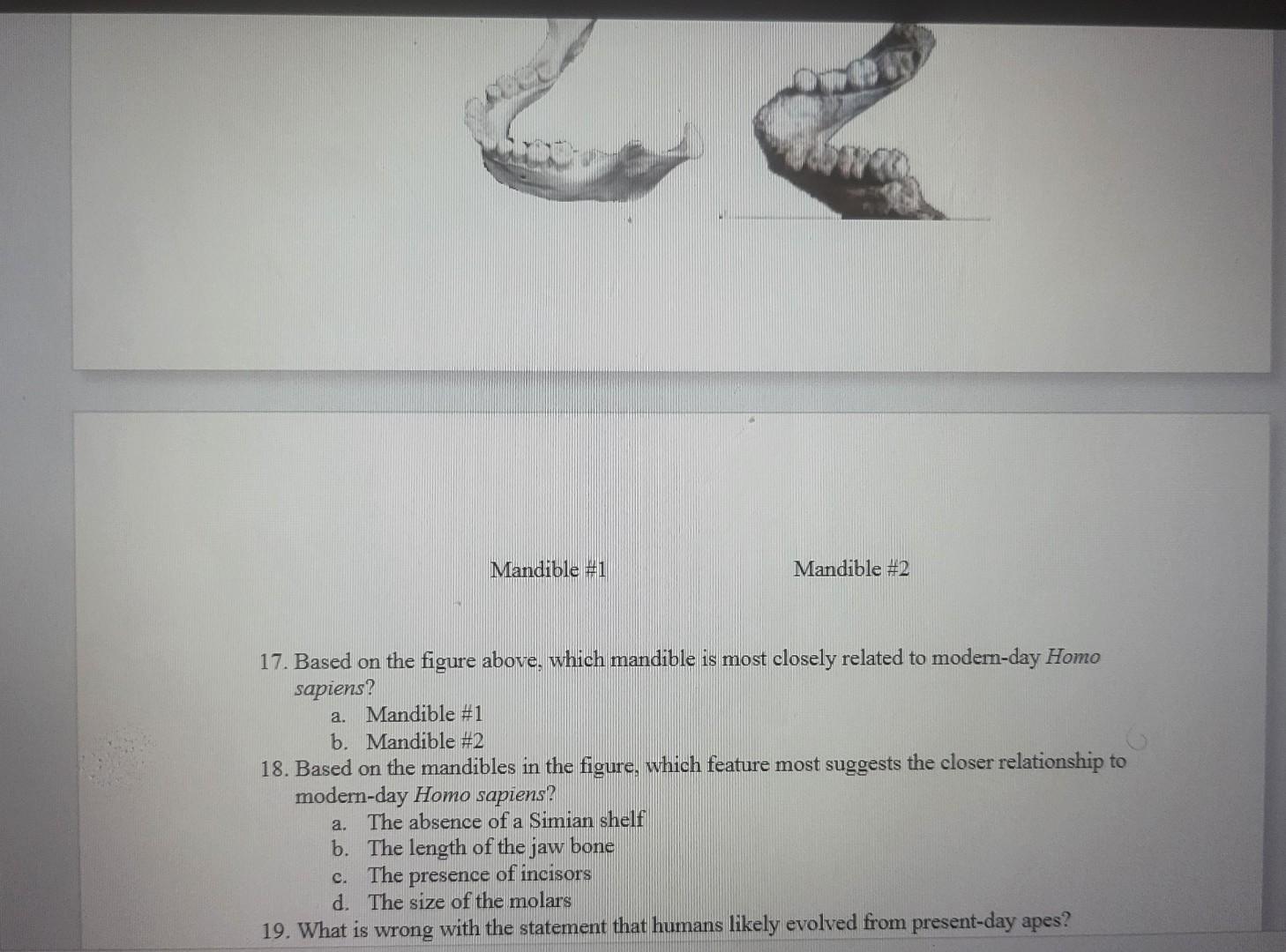 Solved 17. Based on the figure above, which mandible is most | Chegg.com