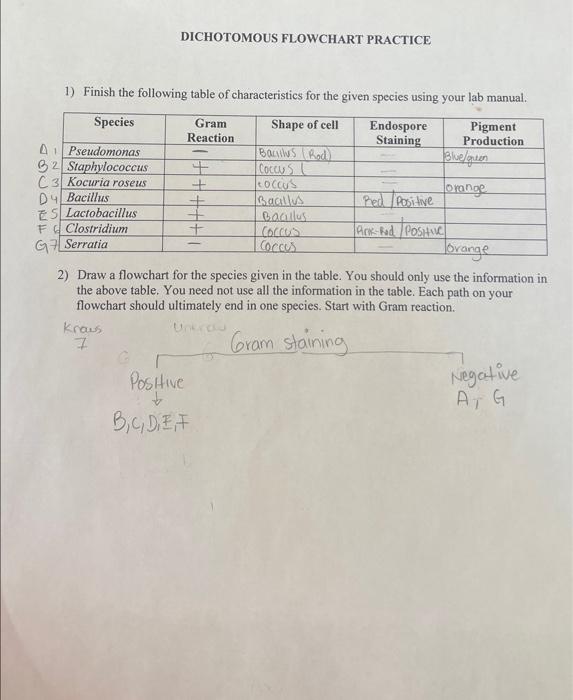 Solved DICHOTOMOUS FLOWCHART PRACTICE 1) Finish the | Chegg.com