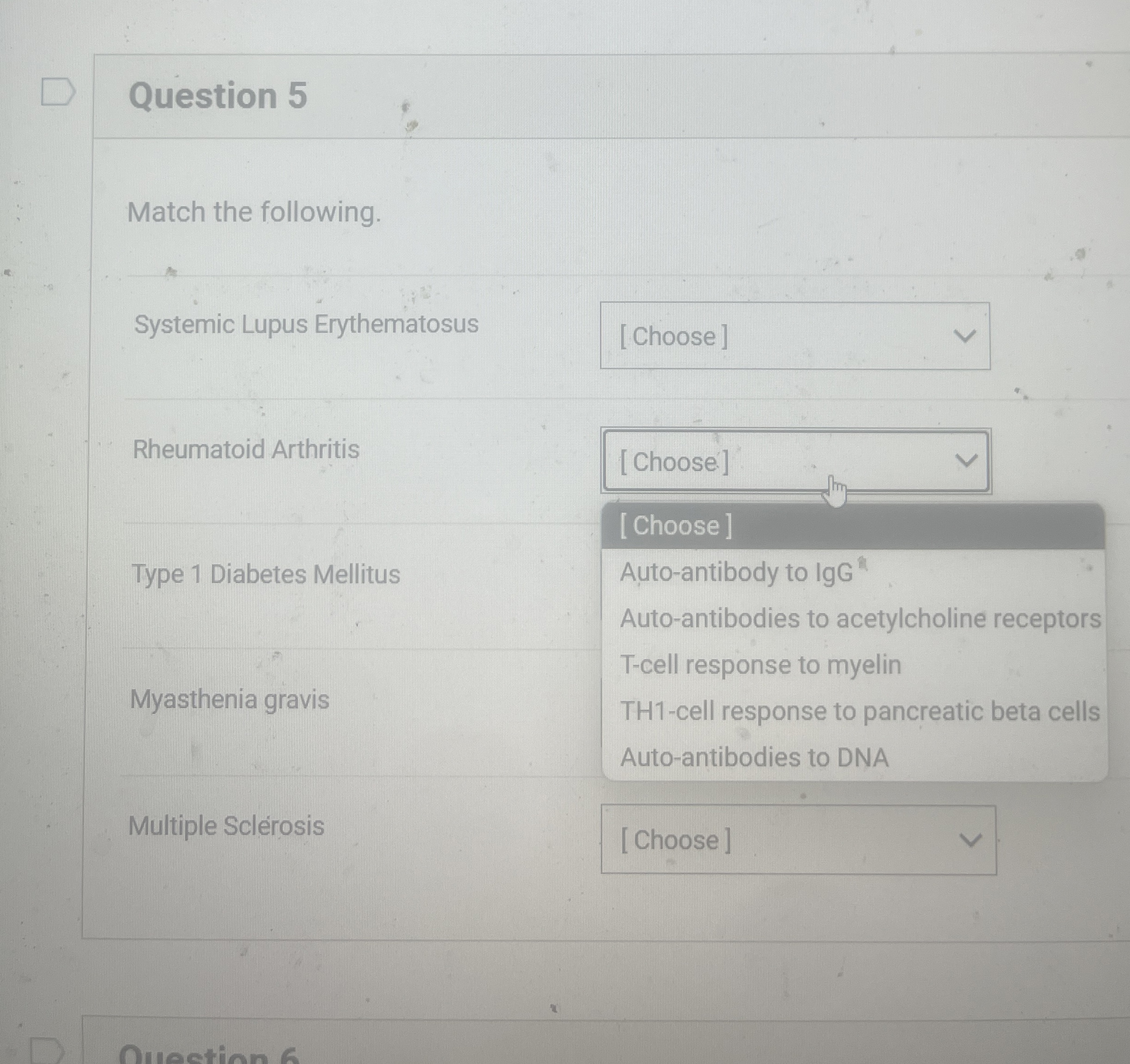 Solved Question 5Match the following.Systemic Lupus | Chegg.com