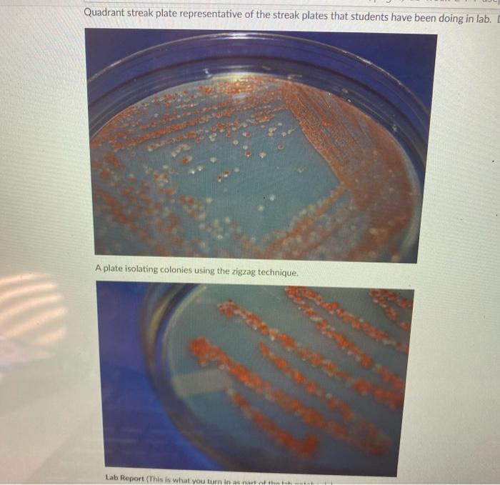 Isolation Streak With Quadrants