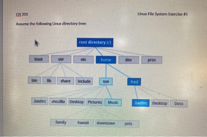 Solved CIS 205 Linux File System Exercise #1 Assume the | Chegg.com