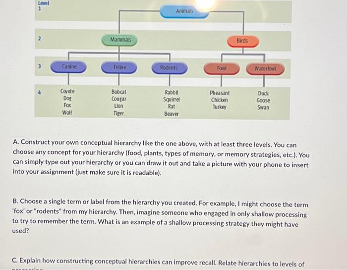A. Construct your own conceptual hierarchy like the | Chegg.com