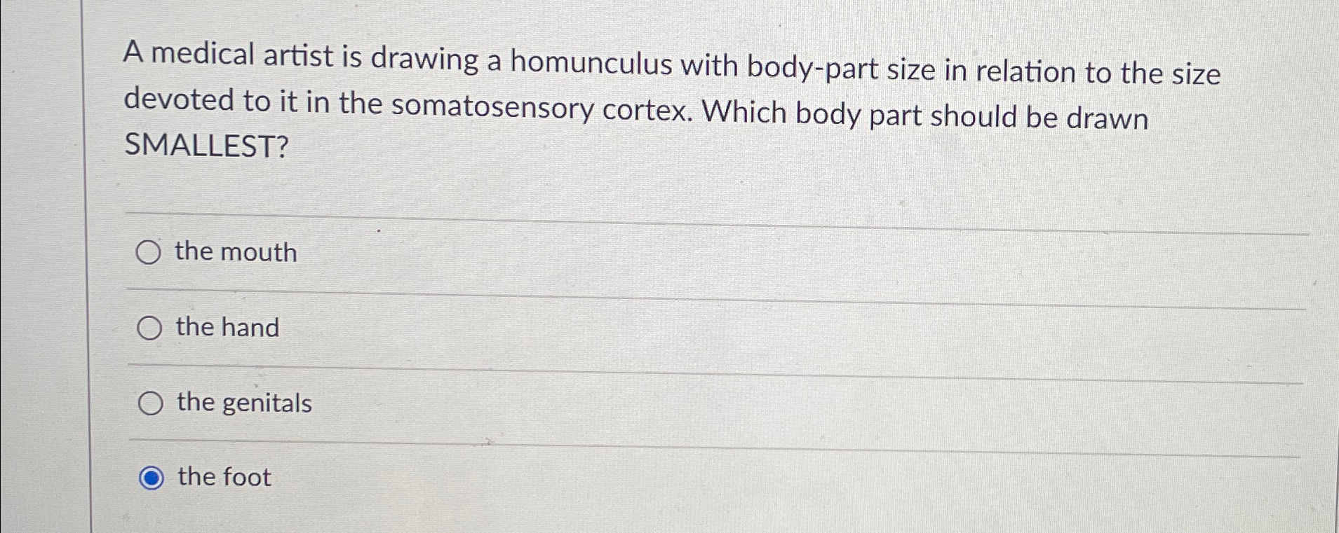 Solved A medical artist is drawing a homunculus with | Chegg.com