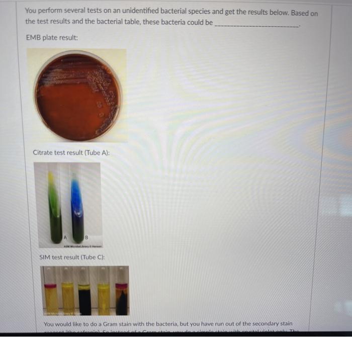 Solved You perform several tests on an unidentified | Chegg.com