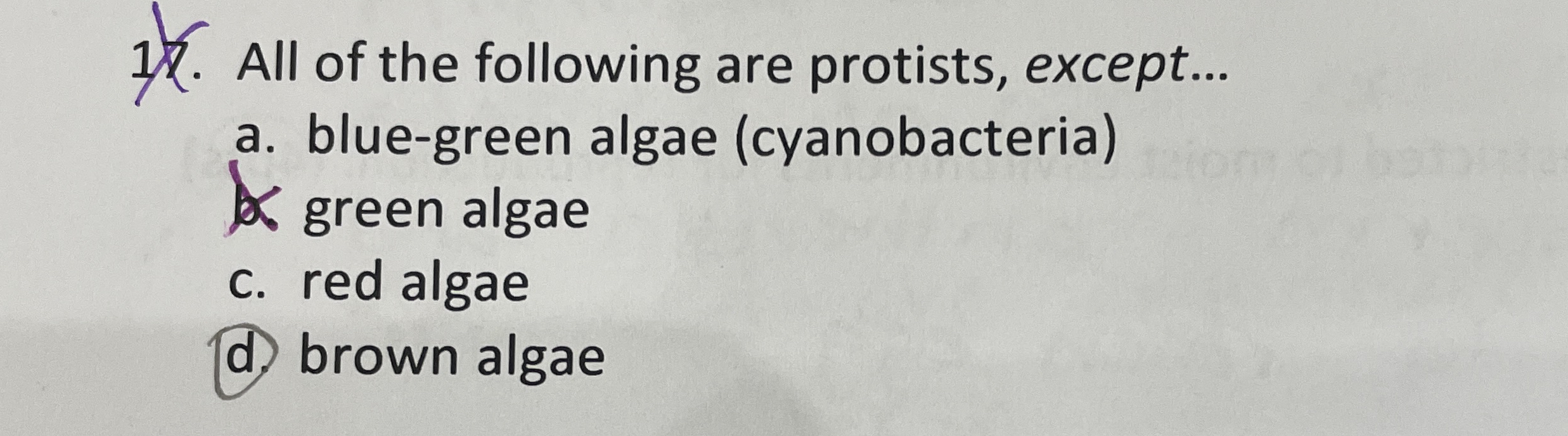 Solved All of the following are protists, except...a. | Chegg.com