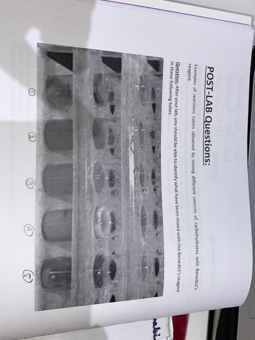 Solved POST-LAB Questions: Examples of reactions colors | Chegg.com