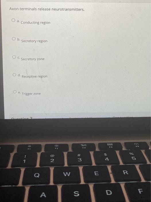 Solved Axon terminals release neurotransmitters. a. | Chegg.com