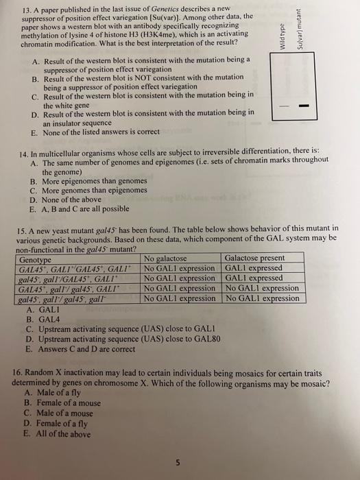 Solved 13. A paper published in the last issue of Generies | Chegg.com