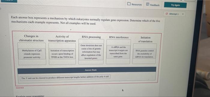 Solved Resources Feedback Each answer box represents a | Chegg.com