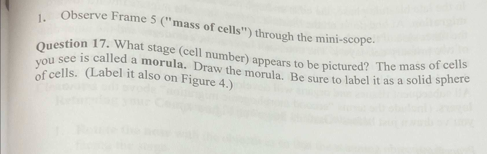 Solved Observe Frame 5 ("mass of cells") ﻿through the | Chegg.com