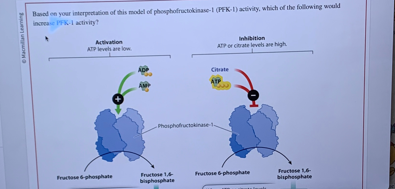 Solved increase PFK-1 ﻿activity?ActivationATP levels are | Chegg.com