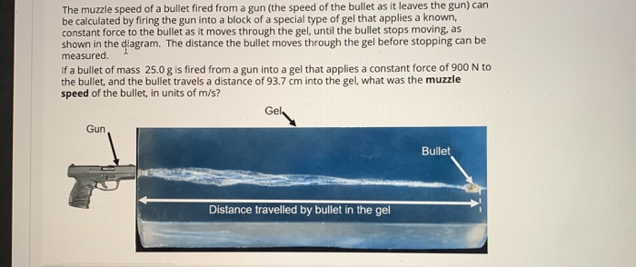 Solved The muzzle speed of a bullet fired from a gun (the | Chegg.com